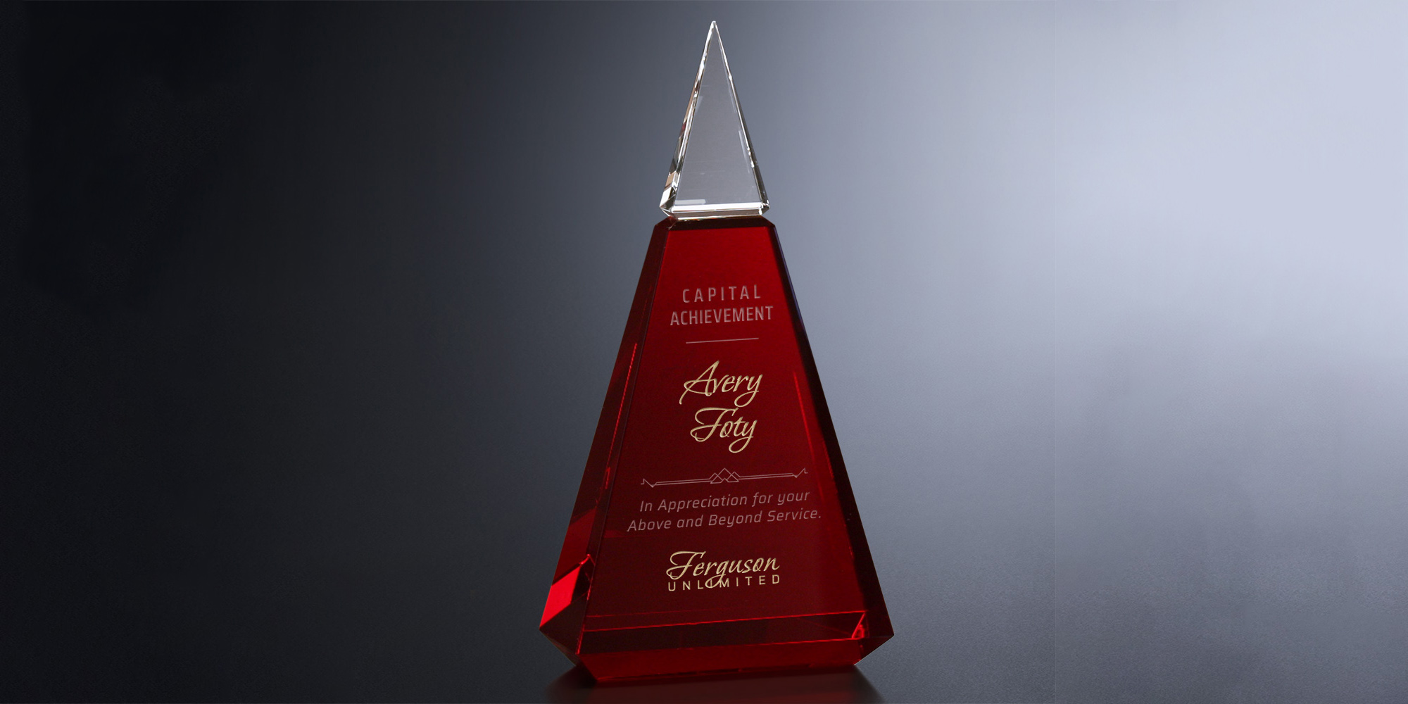 The Economics of Awards: Assessing the Return on Investment of ...