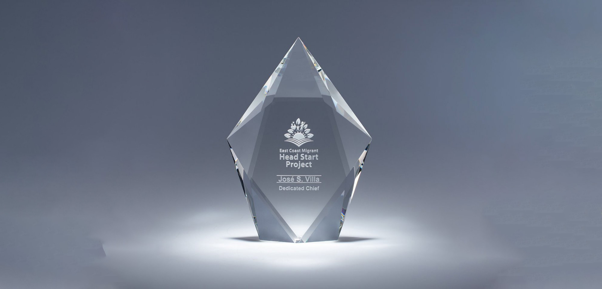 25 Sales Award Wording Examples for 2025 - Award Maven