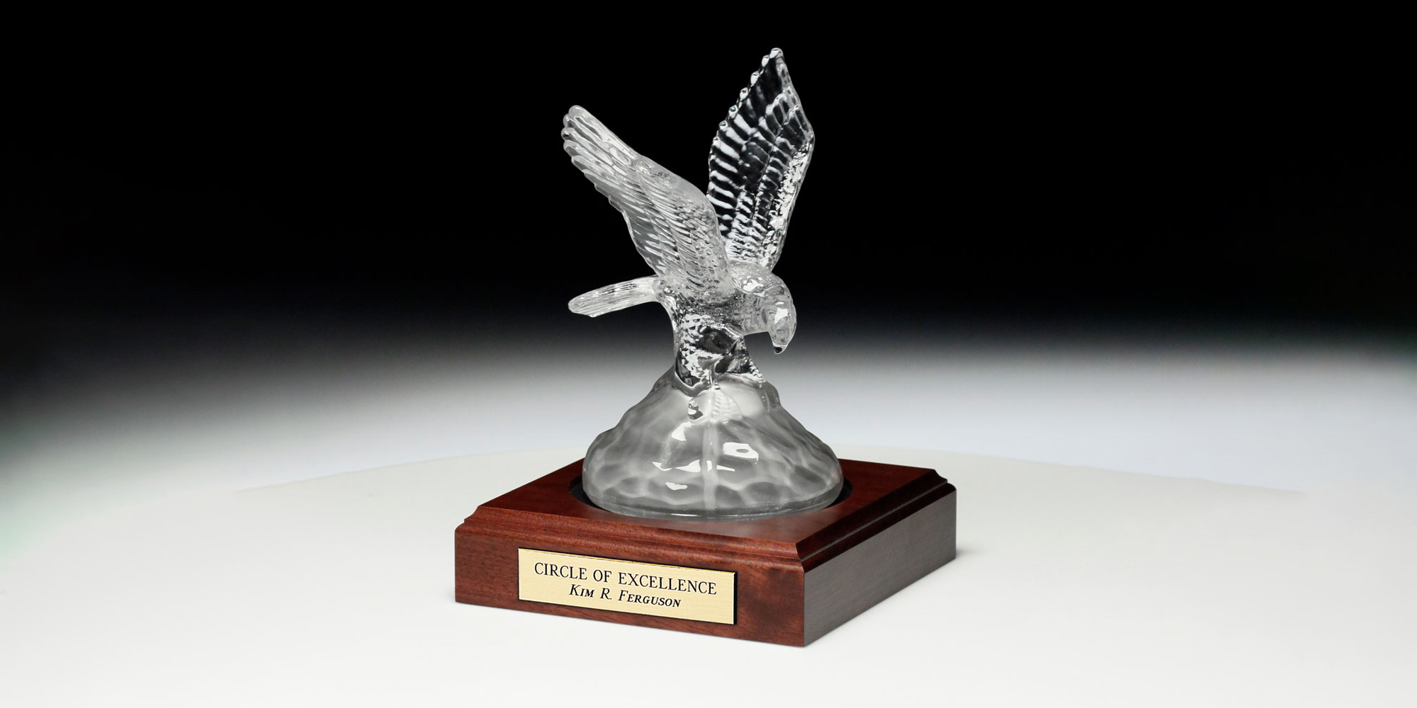 Eagle Awards: Soaring Above the Ordinary in Recognition - Award Maven
